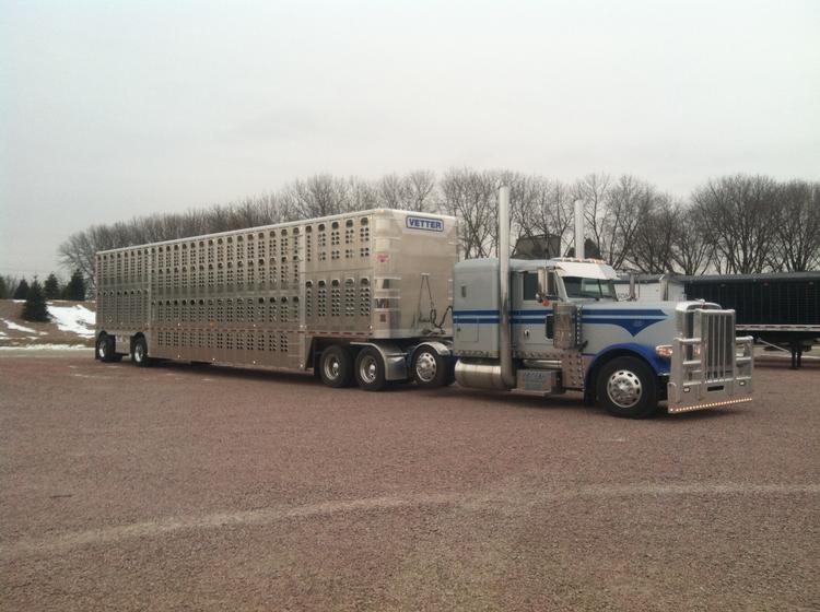 Livestock Network | Cattle Trailers For Sale | Cattle Trucking Jobs ...