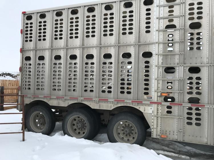 Livestock Network | Cattle Trailers For Sale | Cattle Trucking Jobs ...