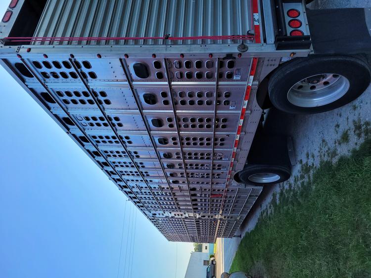 Livestock Network | Cattle Trailers For Sale | Cattle Trucking Jobs ...