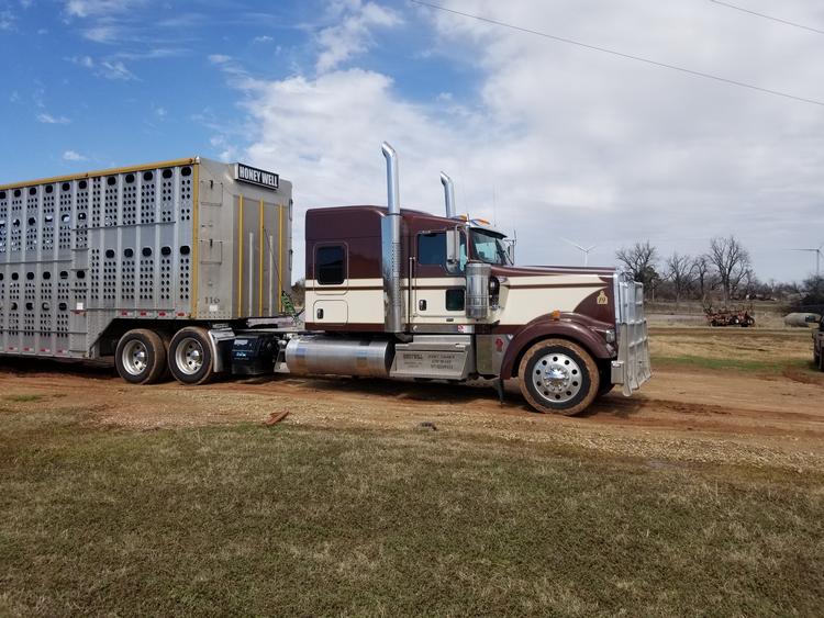 Livestock Network | Cattle Trailers For Sale | Cattle Trucking Jobs ...