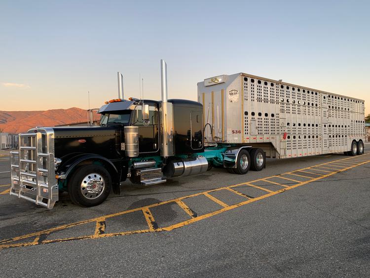 Livestock Network | Cattle Trailers For Sale | Cattle Trucking Jobs ...