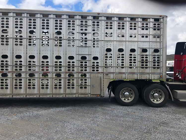 Livestock Network | Cattle Trailers For Sale | Cattle Trucking Jobs ...