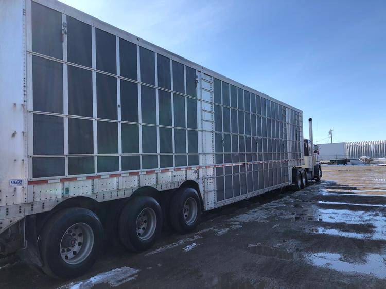 Livestock Network | Cattle Trailers For Sale | Cattle Trucking Jobs ...