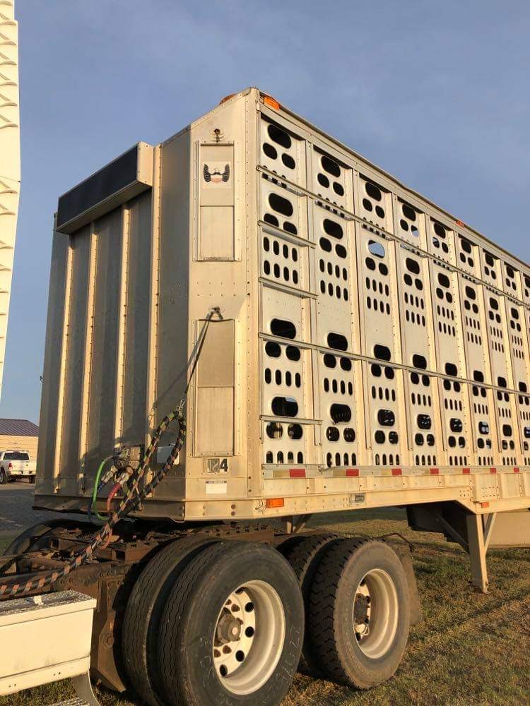 Livestock Network | Cattle Trailers For Sale | Cattle Trucking Jobs ...