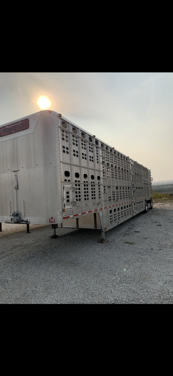 Livestock Network | Cattle Trailers For Sale | Cattle Trucking Jobs ...