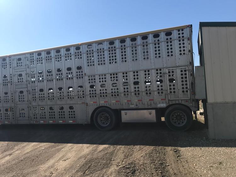 Livestock Network | Cattle Trailers For Sale | Cattle Trucking Jobs ...