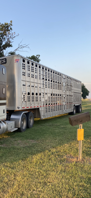 Livestock Network | Cattle Trailers For Sale | Cattle Trucking Jobs ...