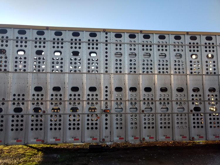 Livestock Network | Cattle Trailers For Sale | Cattle Trucking Jobs ...