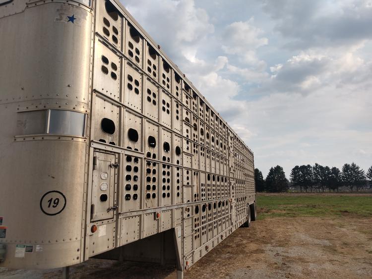Livestock Network | Cattle Trailers For Sale | Cattle Trucking Jobs ...