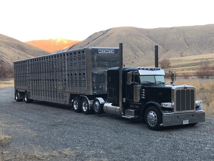 Livestock Network | Cattle Trailers For Sale | Cattle Trucking Jobs ...