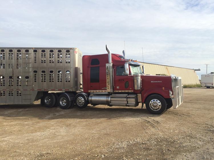 Livestock Network | Cattle Trailers For Sale | Cattle Trucking Jobs ...