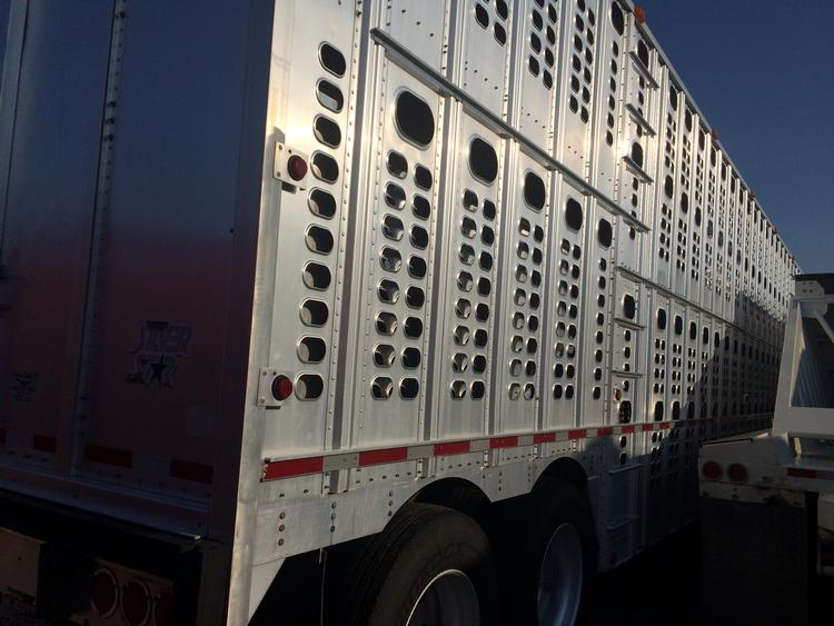 Livestock Network | Cattle Trailers For Sale | Cattle Trucking Jobs ...