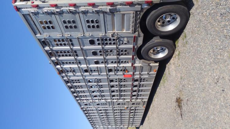 Livestock Network | Cattle Trailers For Sale | Cattle Trucking Jobs ...