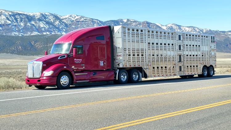 Livestock Network | Cattle Trailers For Sale | Cattle Trucking Jobs ...