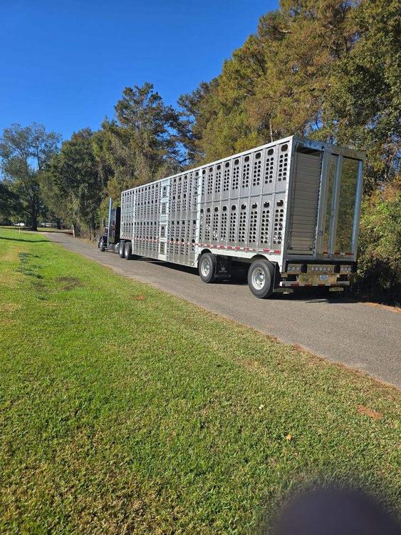 Livestock Network | Cattle Trailers For Sale | Cattle Trucking Jobs ...